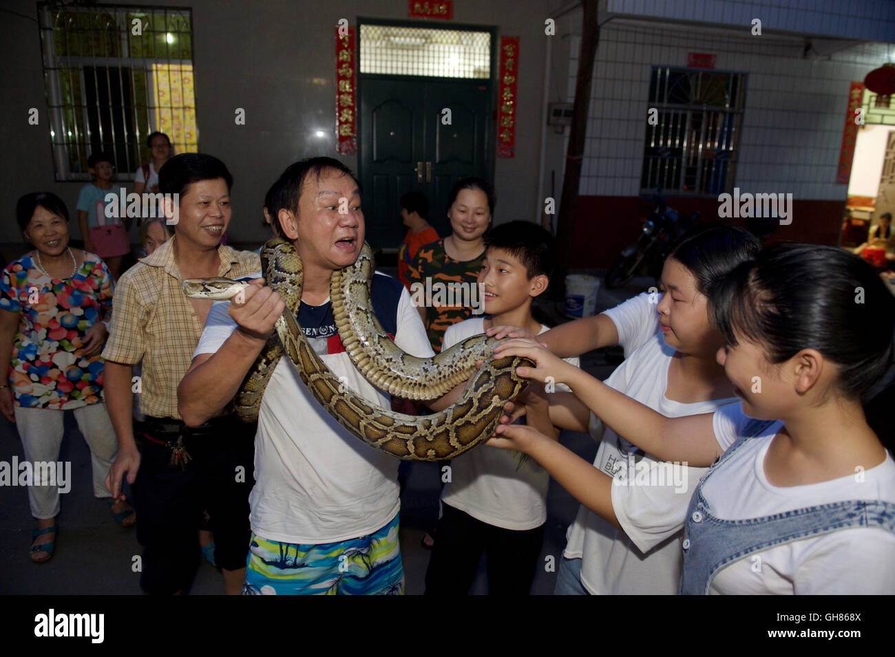 The year of snake hi-res stock photography and images - Alamy