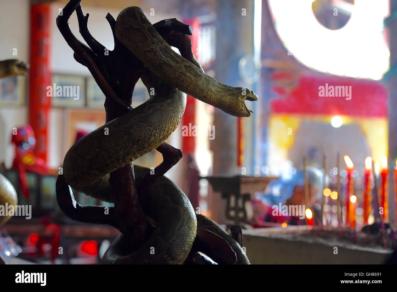 Month python hi-res stock photography and images - Alamy