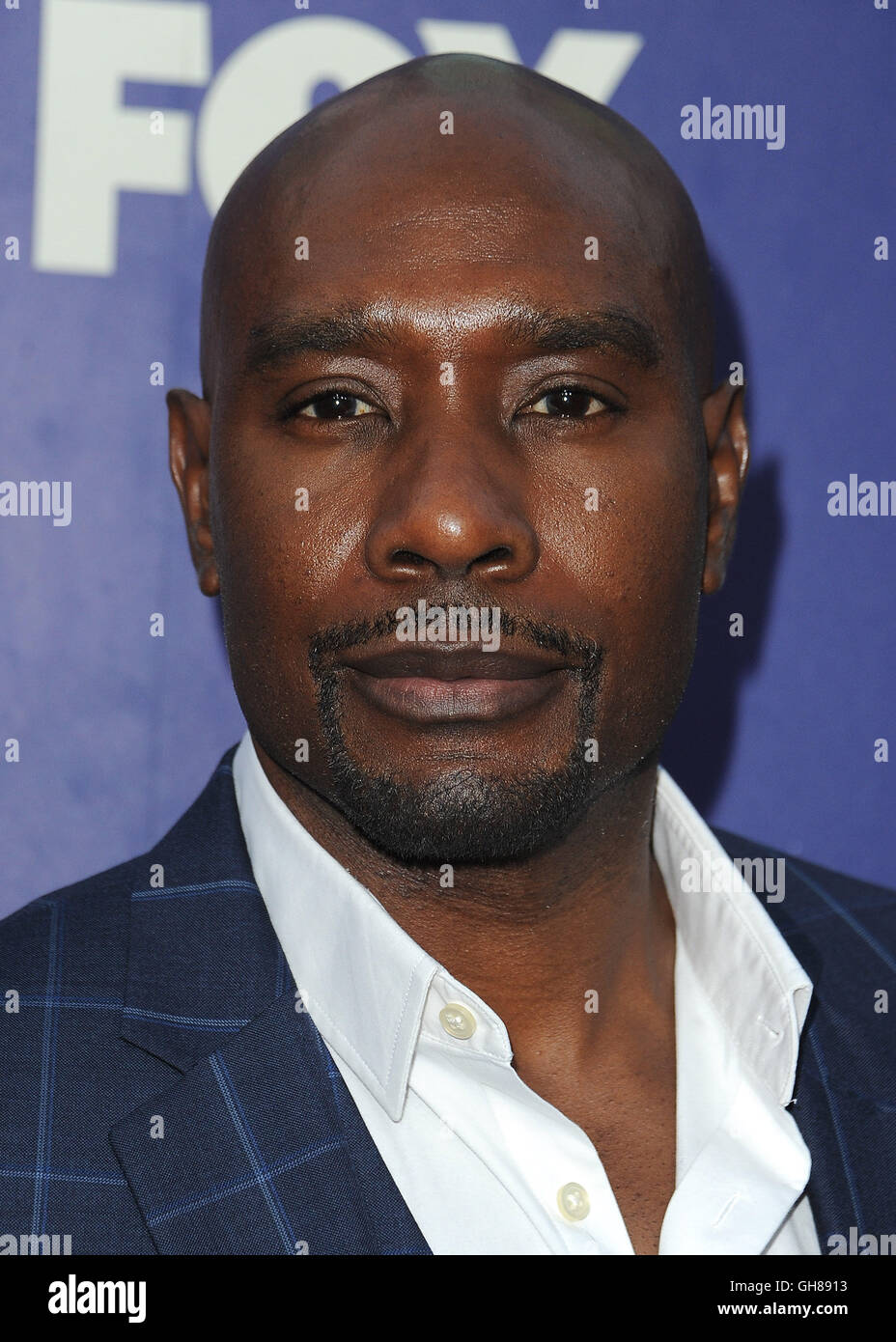 WEST HOLLYWOOD, CA - AUGUST 8: Morris Chestnut at the FOX Summer TCA ...