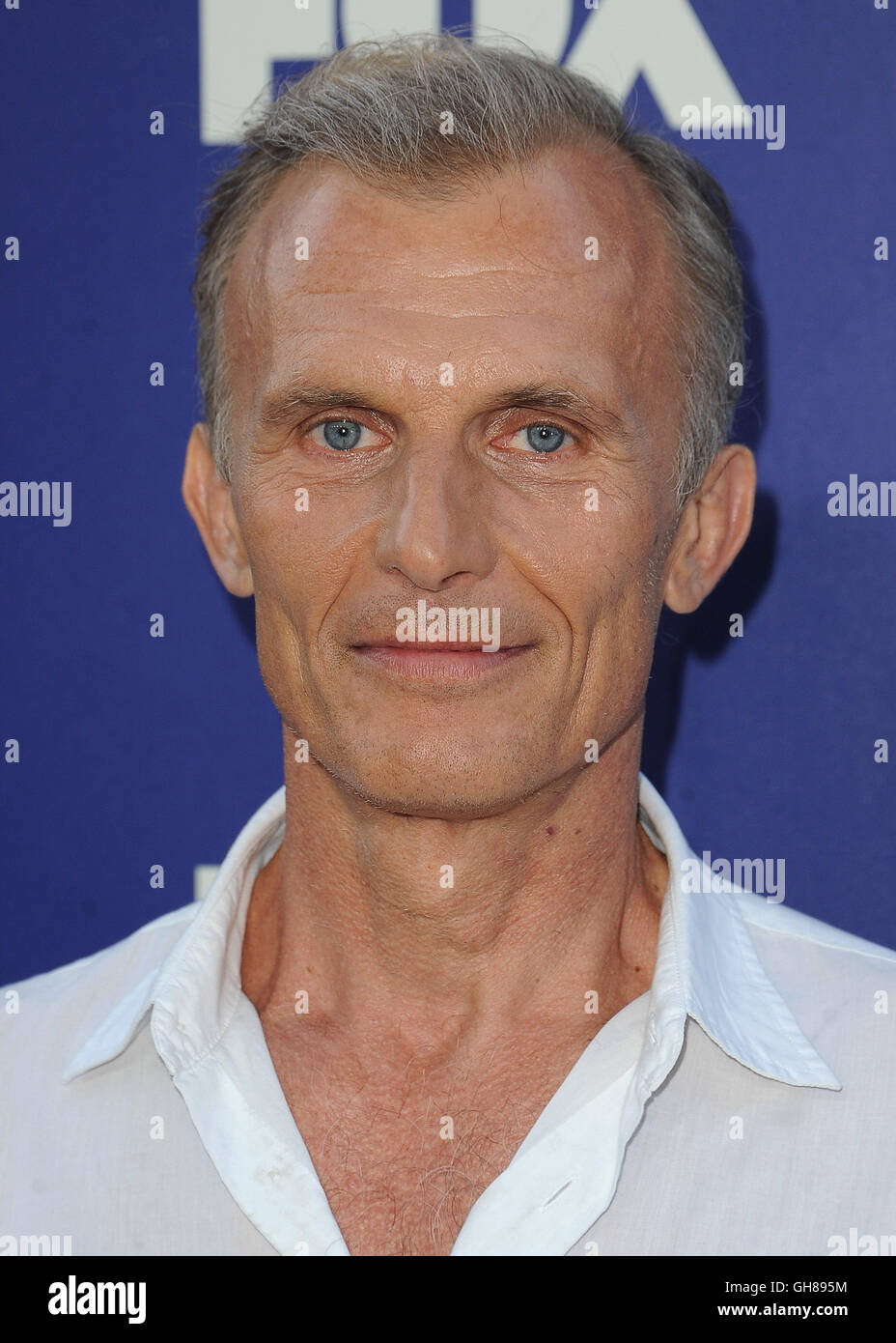 WEST HOLLYWOOD, CA - AUGUST 8: Richard Sammel at the FOX Summer TCA All ...