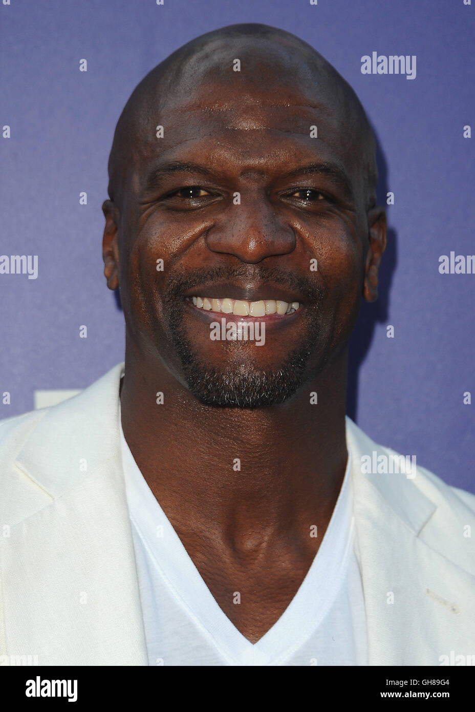 WEST HOLLYWOOD, CA - AUGUST 8: Terry Crews at the FOX Summer TCA All ...
