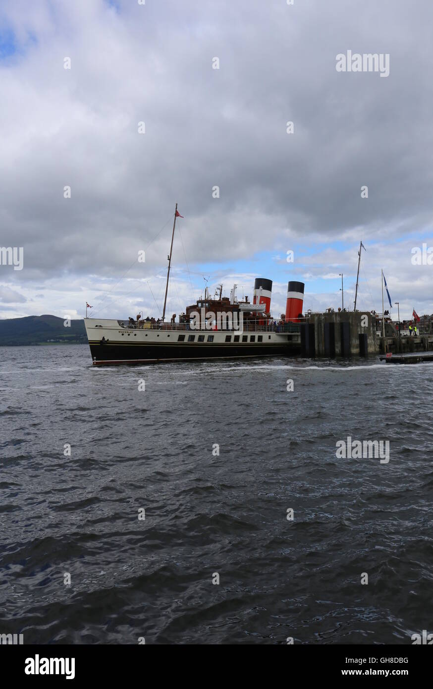 Waverley paddle steamer bute hi-res stock photography and images - Alamy