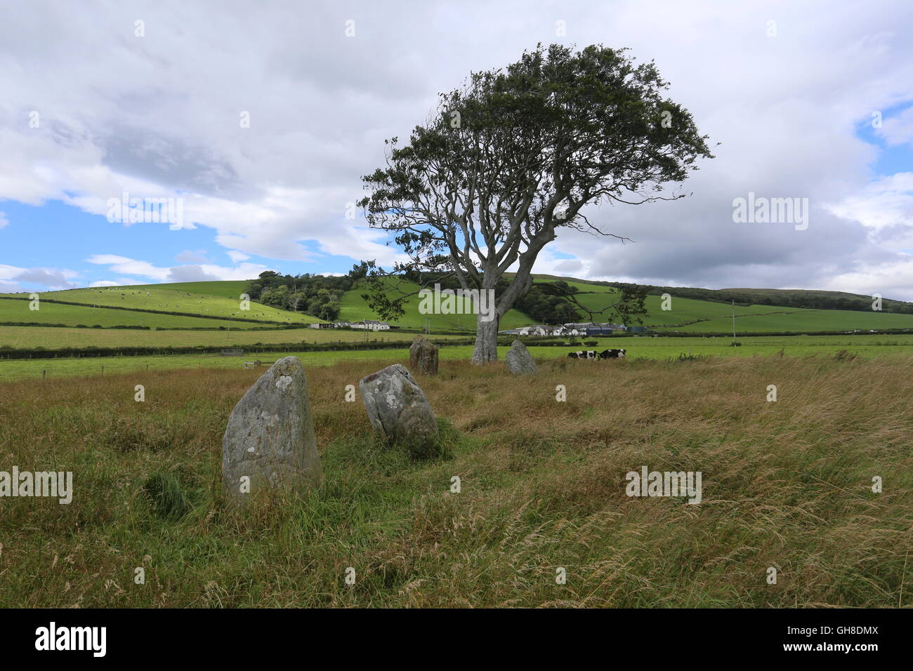 St colmacs standing stones hi-res stock photography and images - Alamy