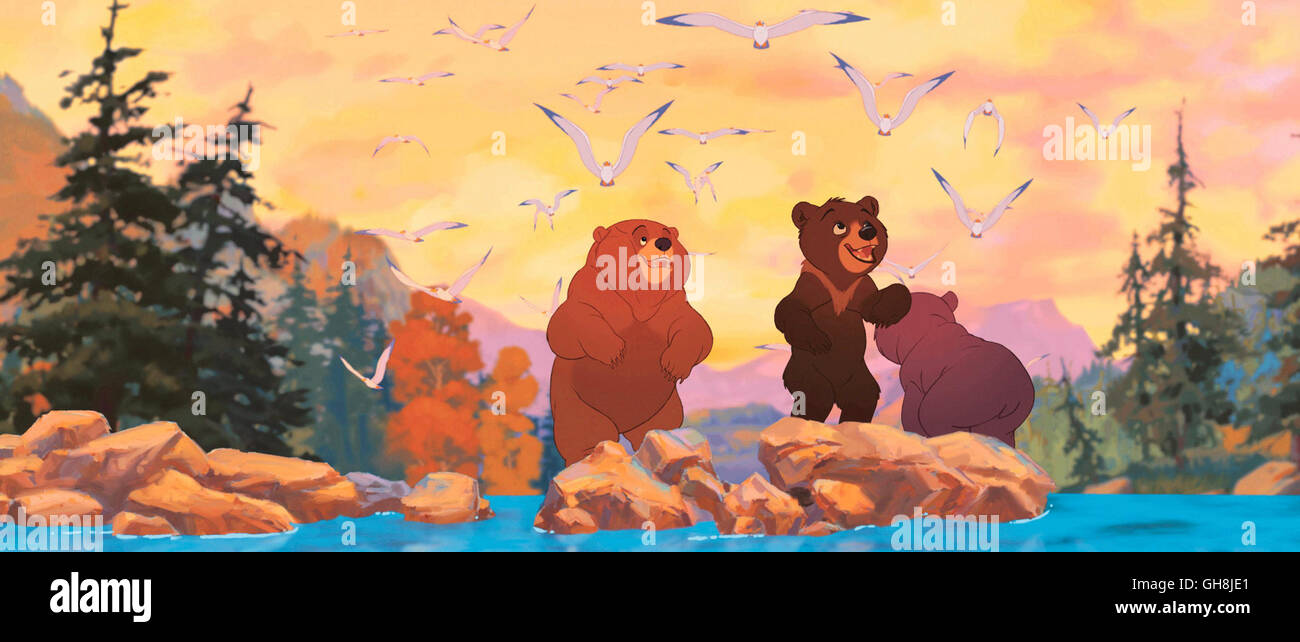 Koda hi-res stock photography and images - Alamy