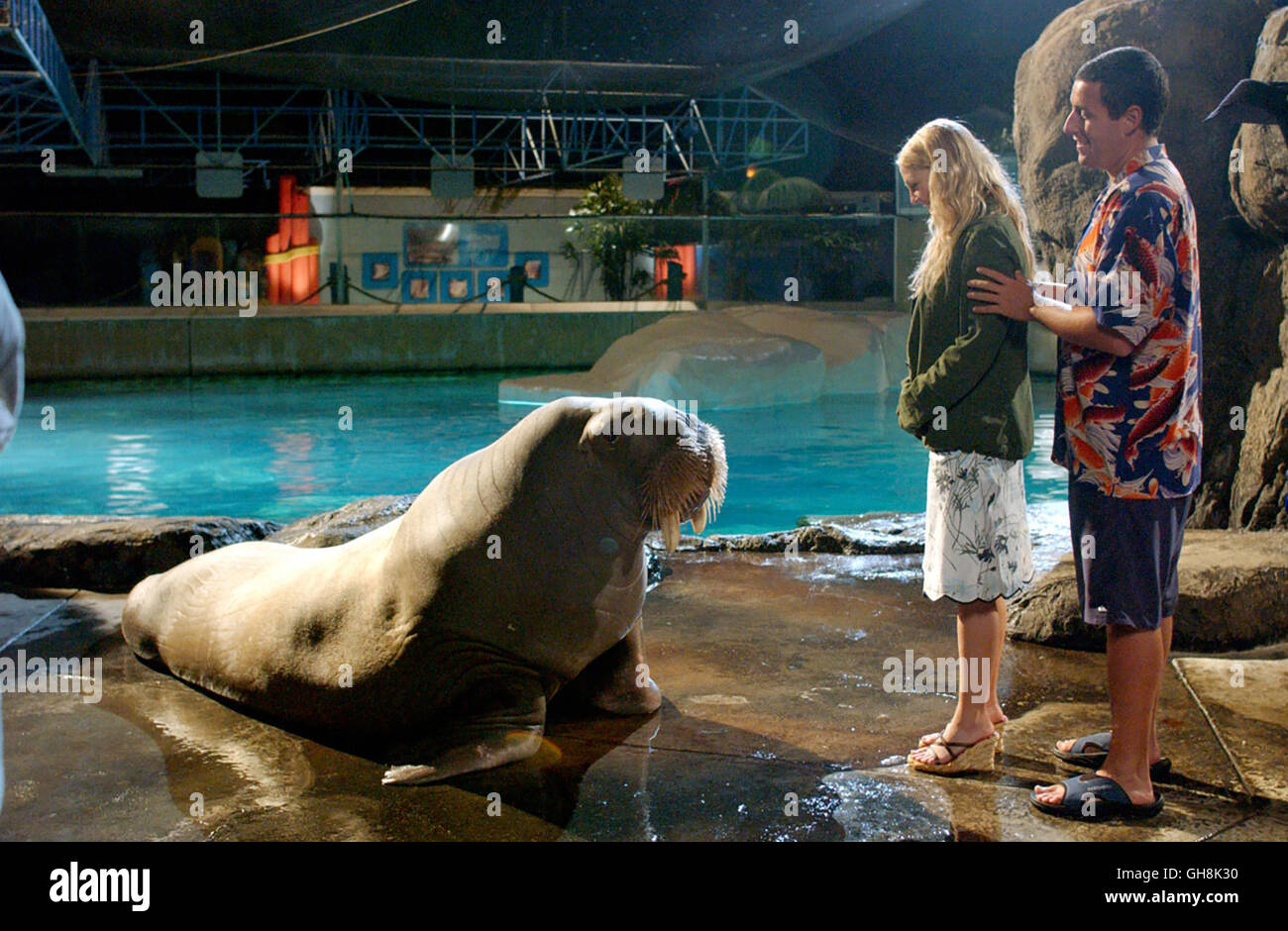 50 ERSTE DATES / 50 First Dates USA 2004 / Peter Segal Lucy Whitmore ...