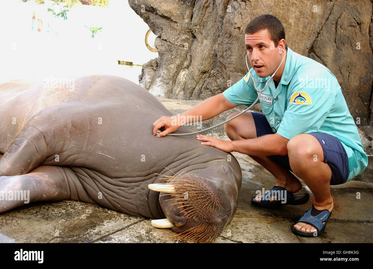 50 ERSTE DATES / 50 First Dates USA 2004 / Peter Segal Henry Roth (ADAM ...