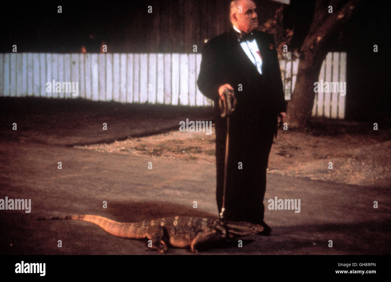 The freshman film hi-res stock photography and images - Alamy