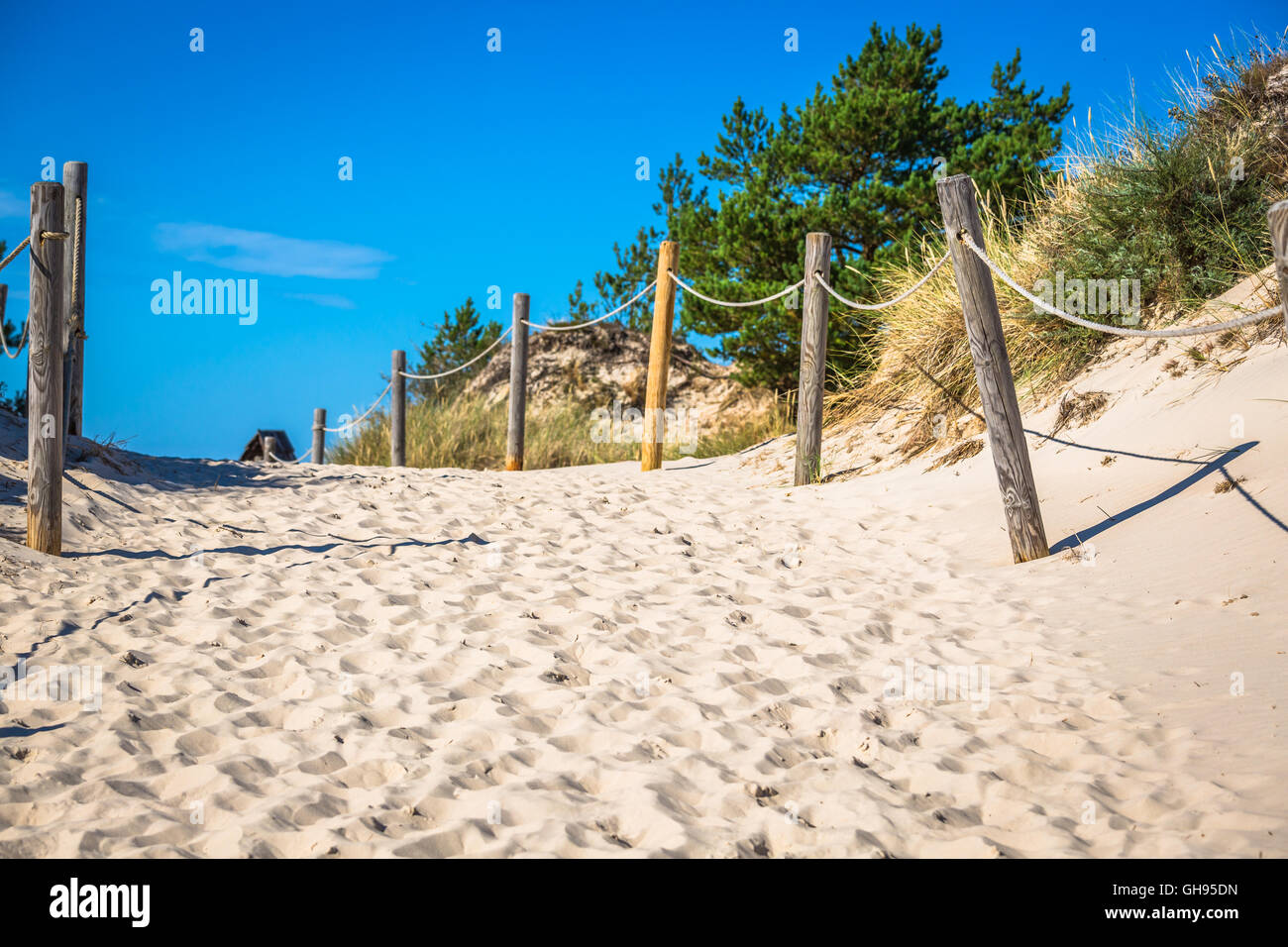 The dunes of the Slowinski national park in Poland Stock Photo - Alamy