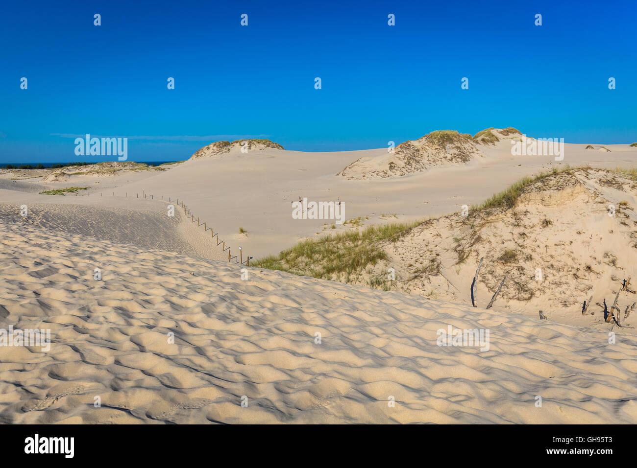 The dunes of the Slowinski national park in Poland Stock Photo - Alamy