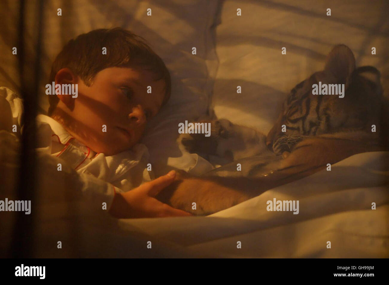 ZWEI BRÜDER / Two Brothers France/GB 2004 / Jean-Jacques Annaud Raoul ...