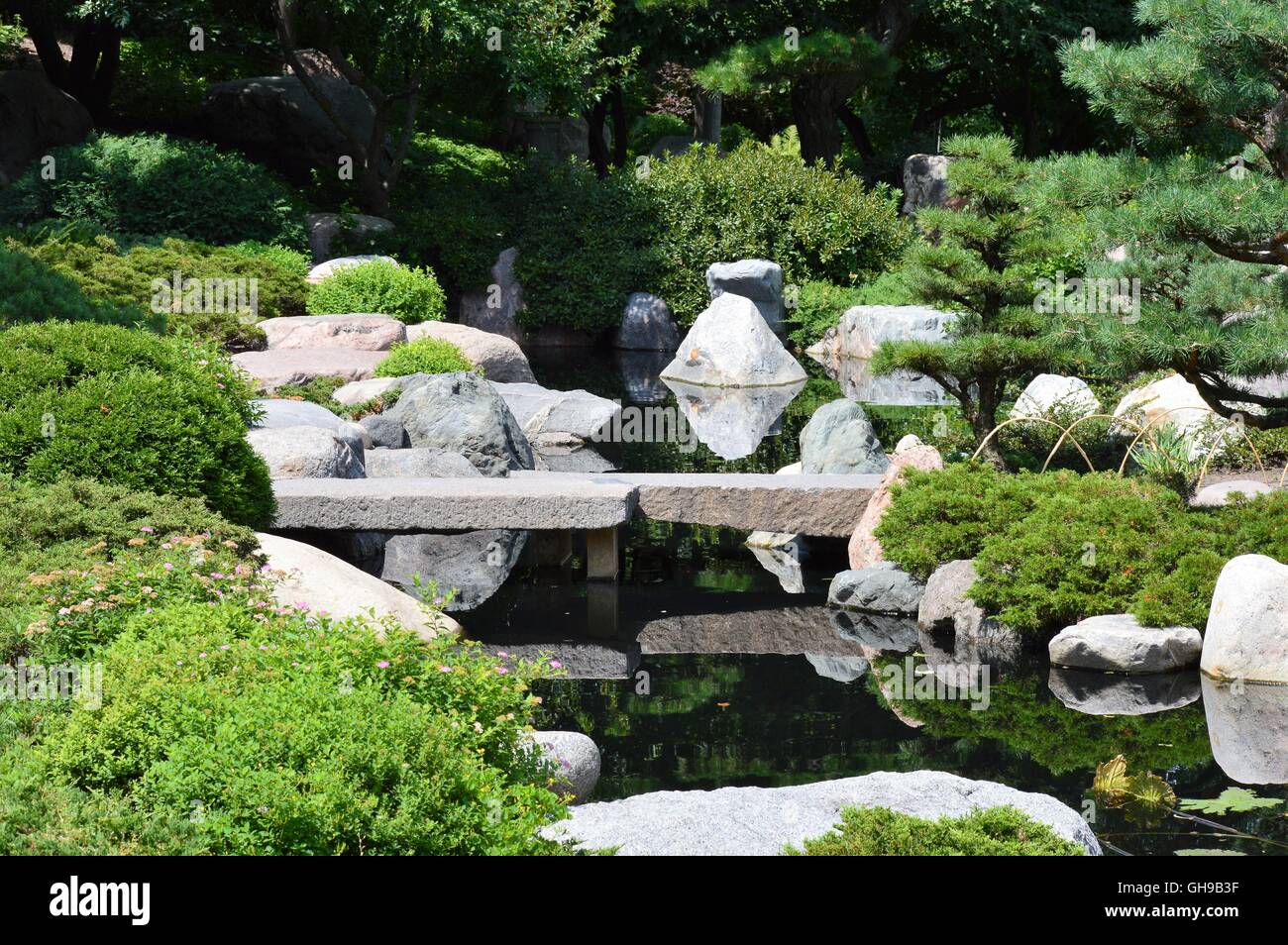 Japanese garden plants hi-res stock photography and images - Alamy