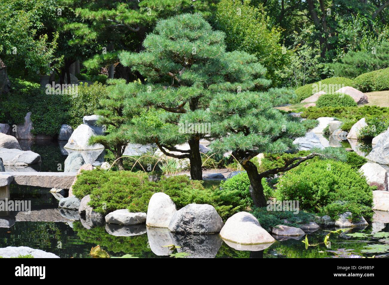 Japanese Garden during Summer Stock Photo - Alamy