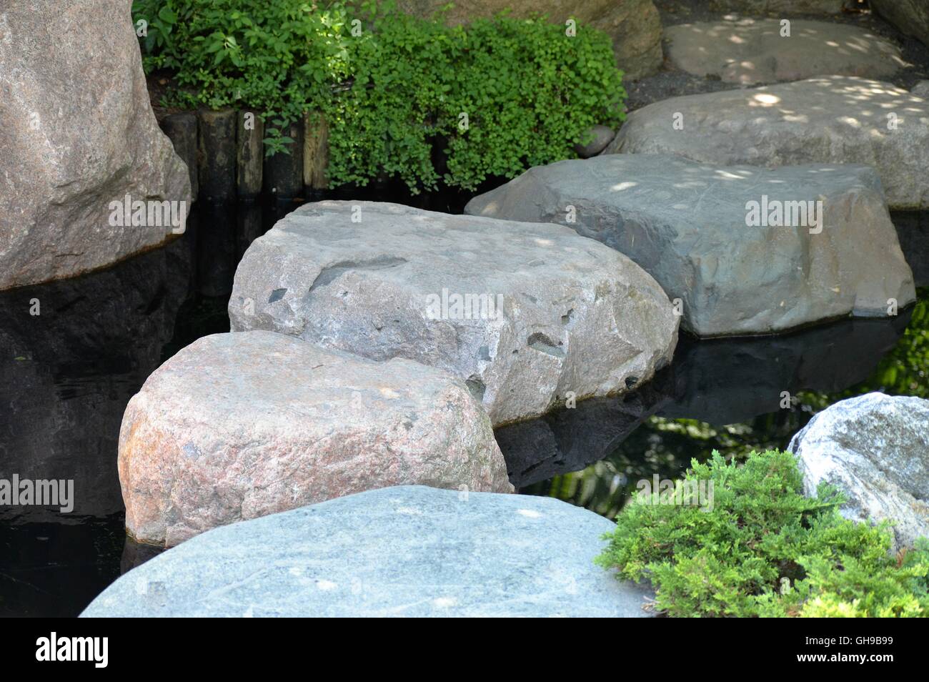 Japanese garden plants hi-res stock photography and images - Alamy
