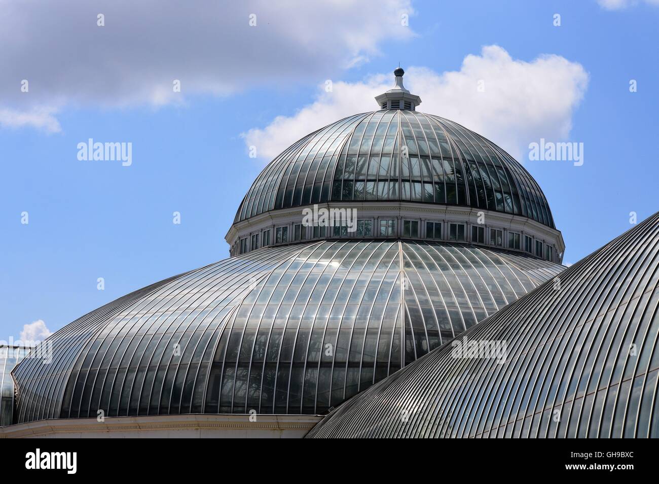 Como Conservatory in St. Paul, Minnesota Stock Photo - Alamy
