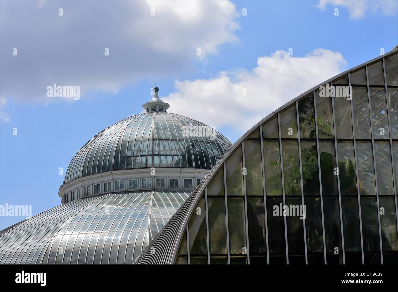 Como Conservatory in St. Paul, Minnesota Stock Photo - Alamy