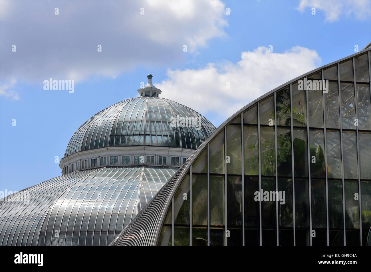 Como conservatory st paul hi-res stock photography and images - Alamy