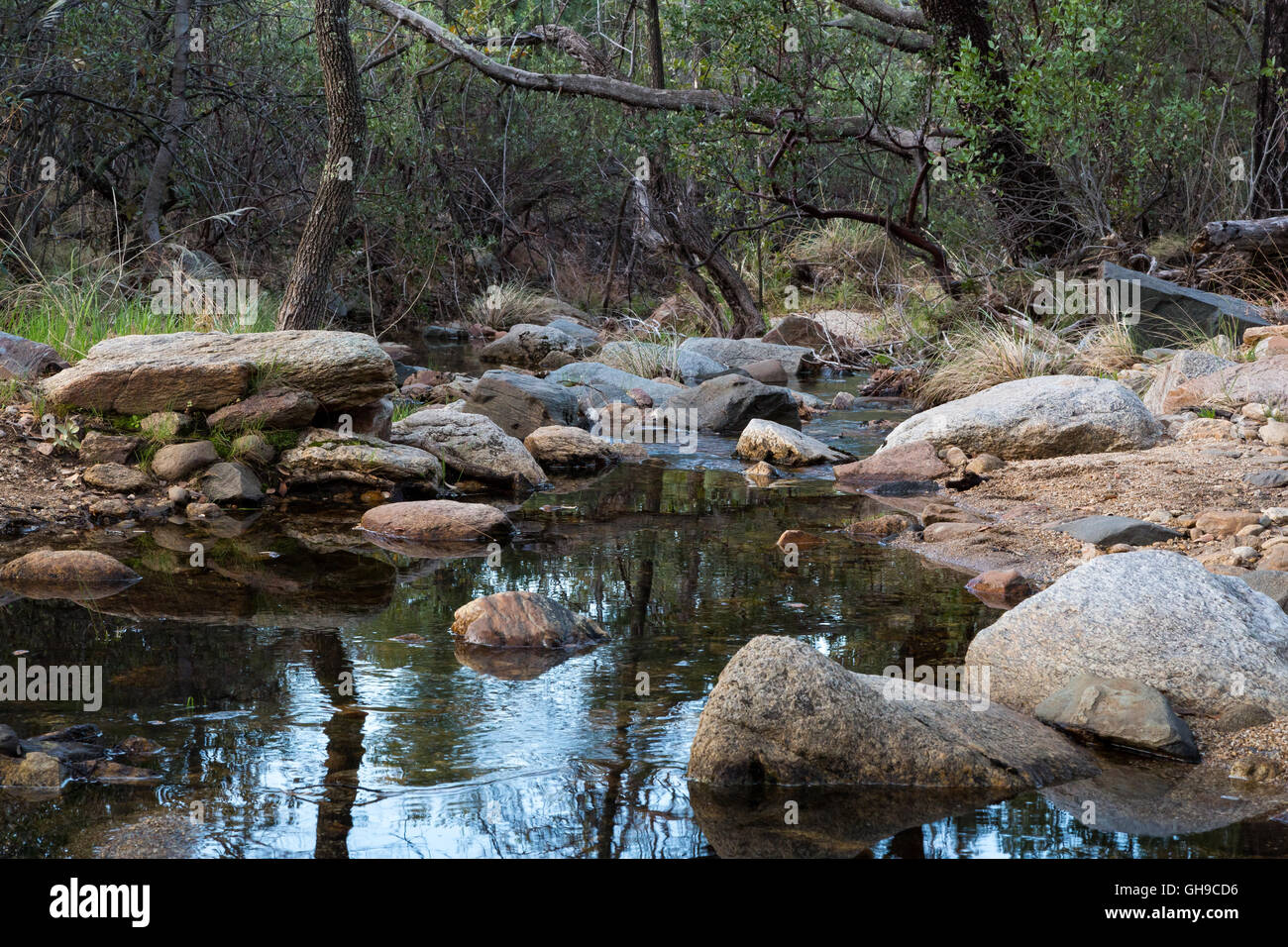 A creek flowing through an oak forest at the Grass Shack Campground on ...
