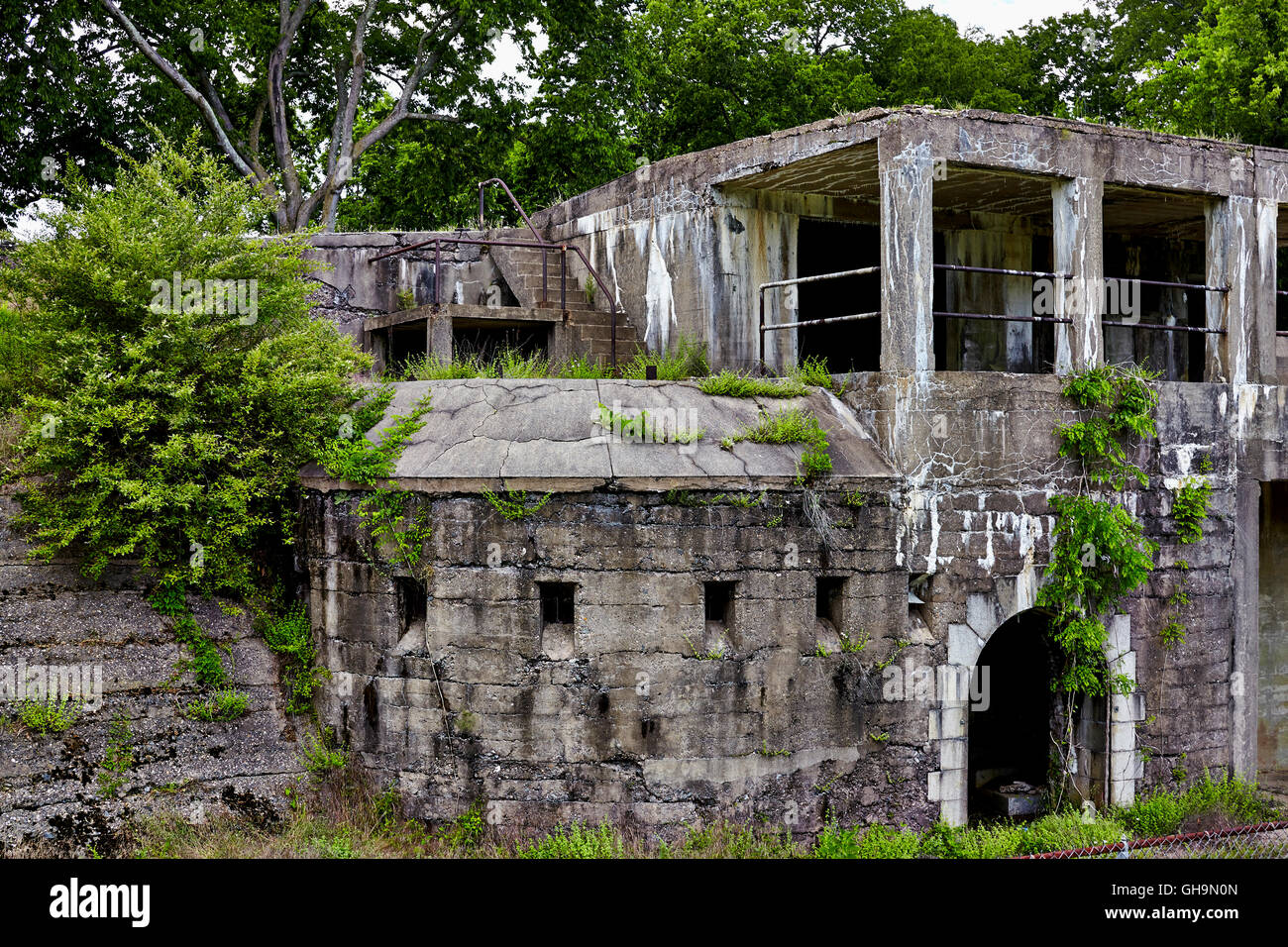 Battery Decatur and Disappearing guns ruins with overgrown foliage at ...