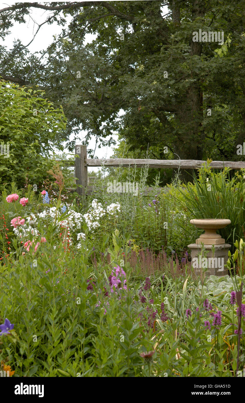 Dramatic garden border hi-res stock photography and images - Alamy
