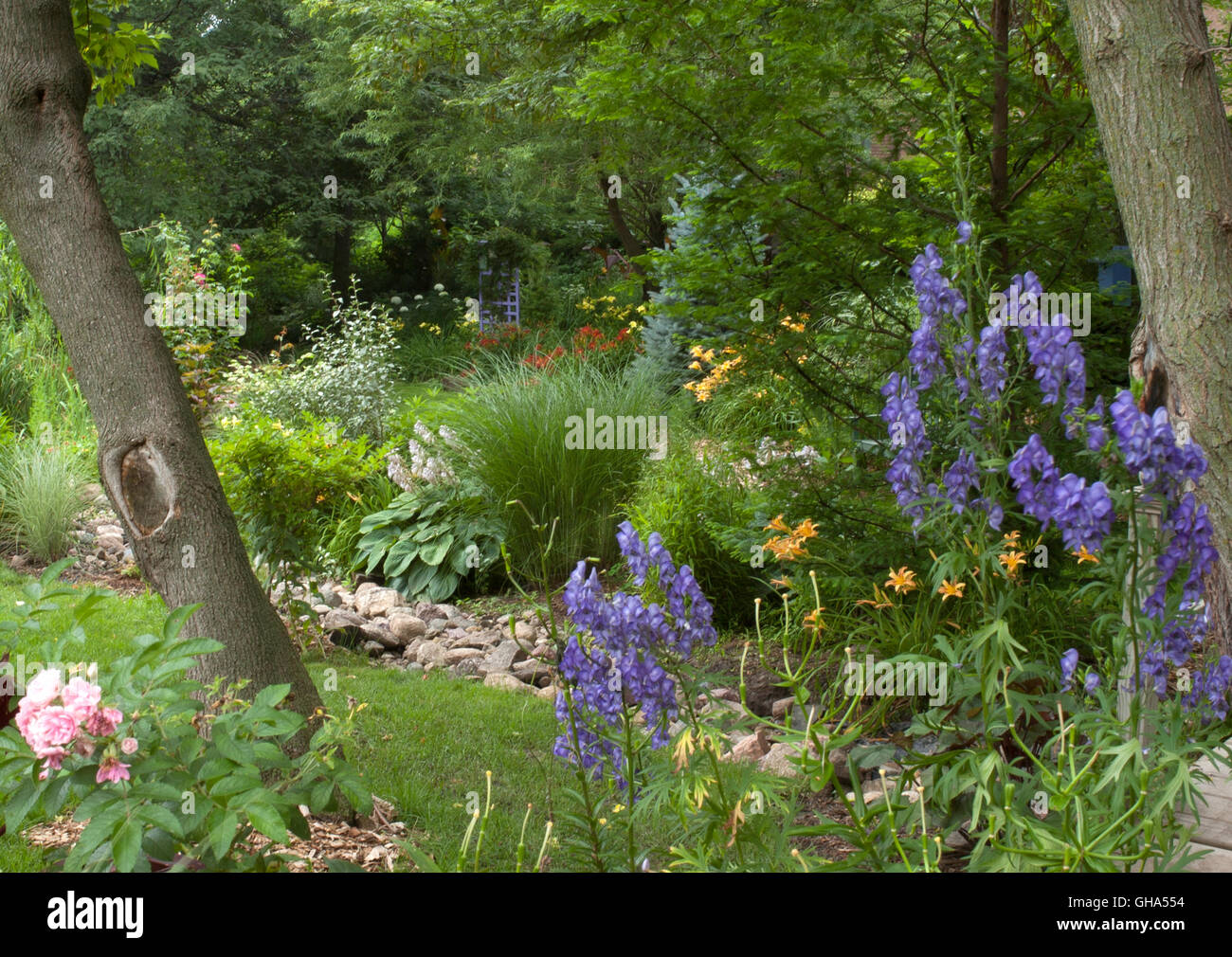 Summer Garden , Iowa, Midwest, flowers, shrubs Stock Photo - Alamy