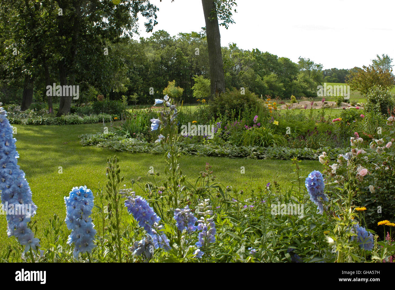 Flowers For Midwest Gardens at Audrey Cunningham blog