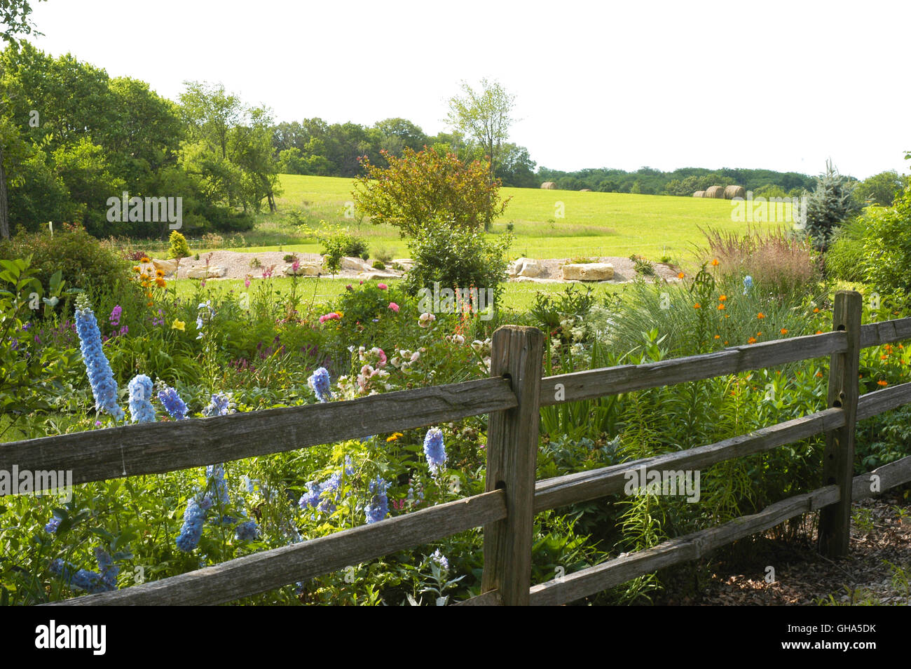 Dramatic garden border hi-res stock photography and images - Alamy
