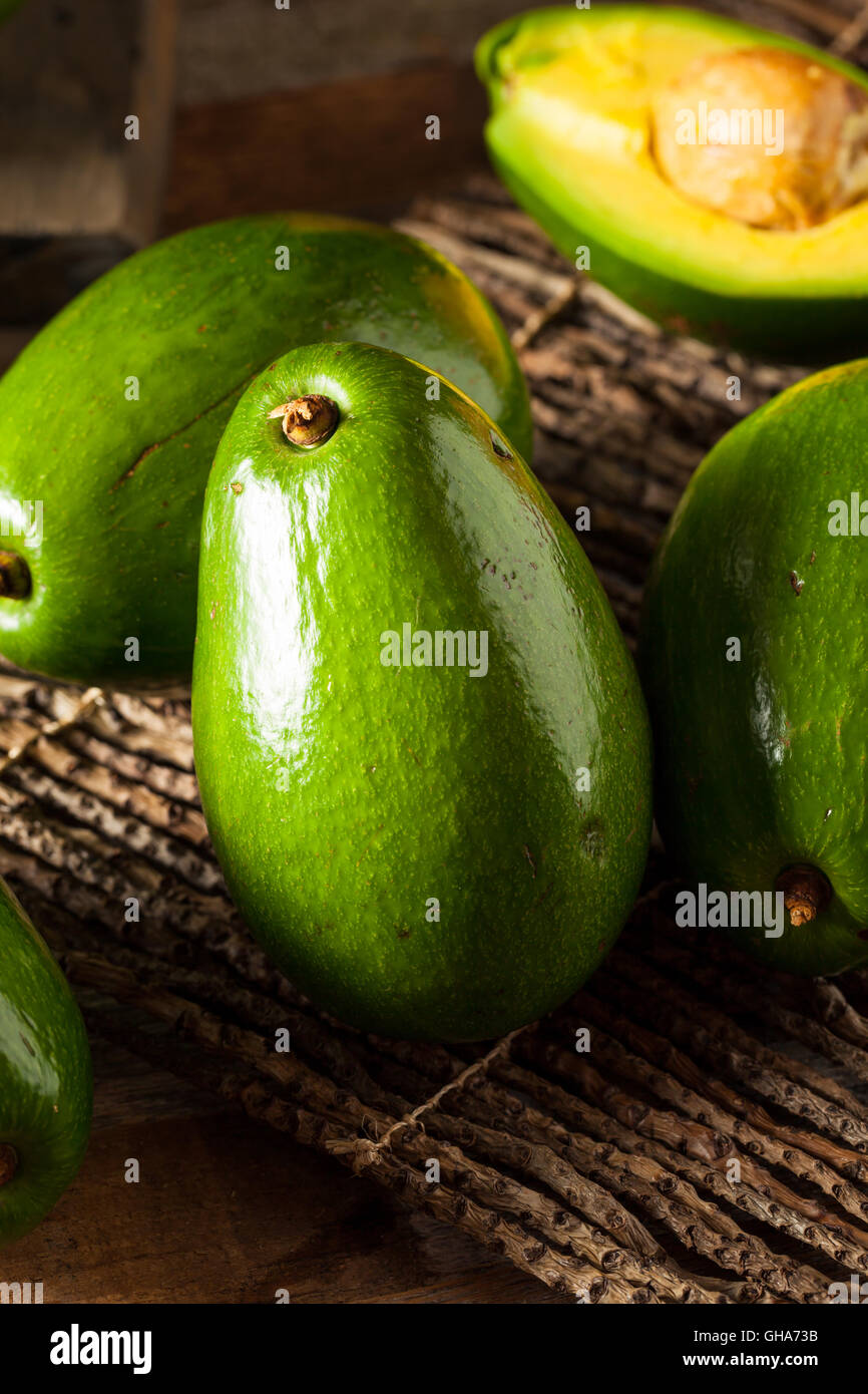 Raw Green Organic Florida Avocados Ready to Eat Stock Photo - Alamy