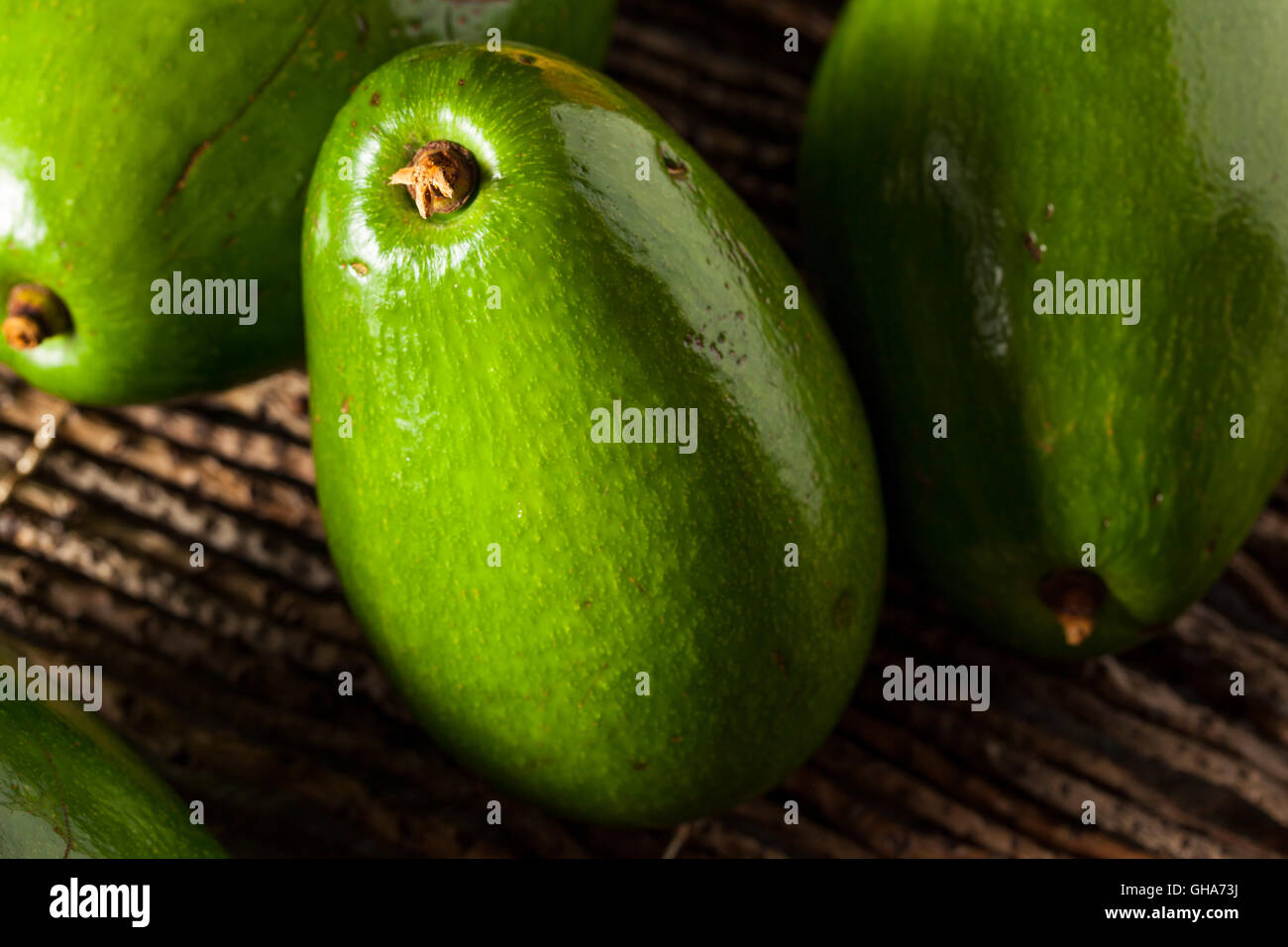 Florida avocados hi-res stock photography and images - Alamy