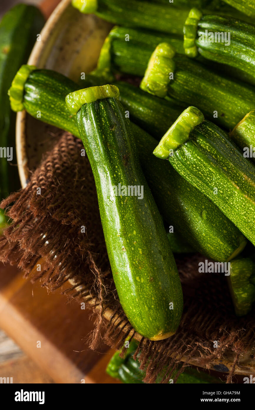 Green zucchini in garden growing hi-res stock photography and images ...