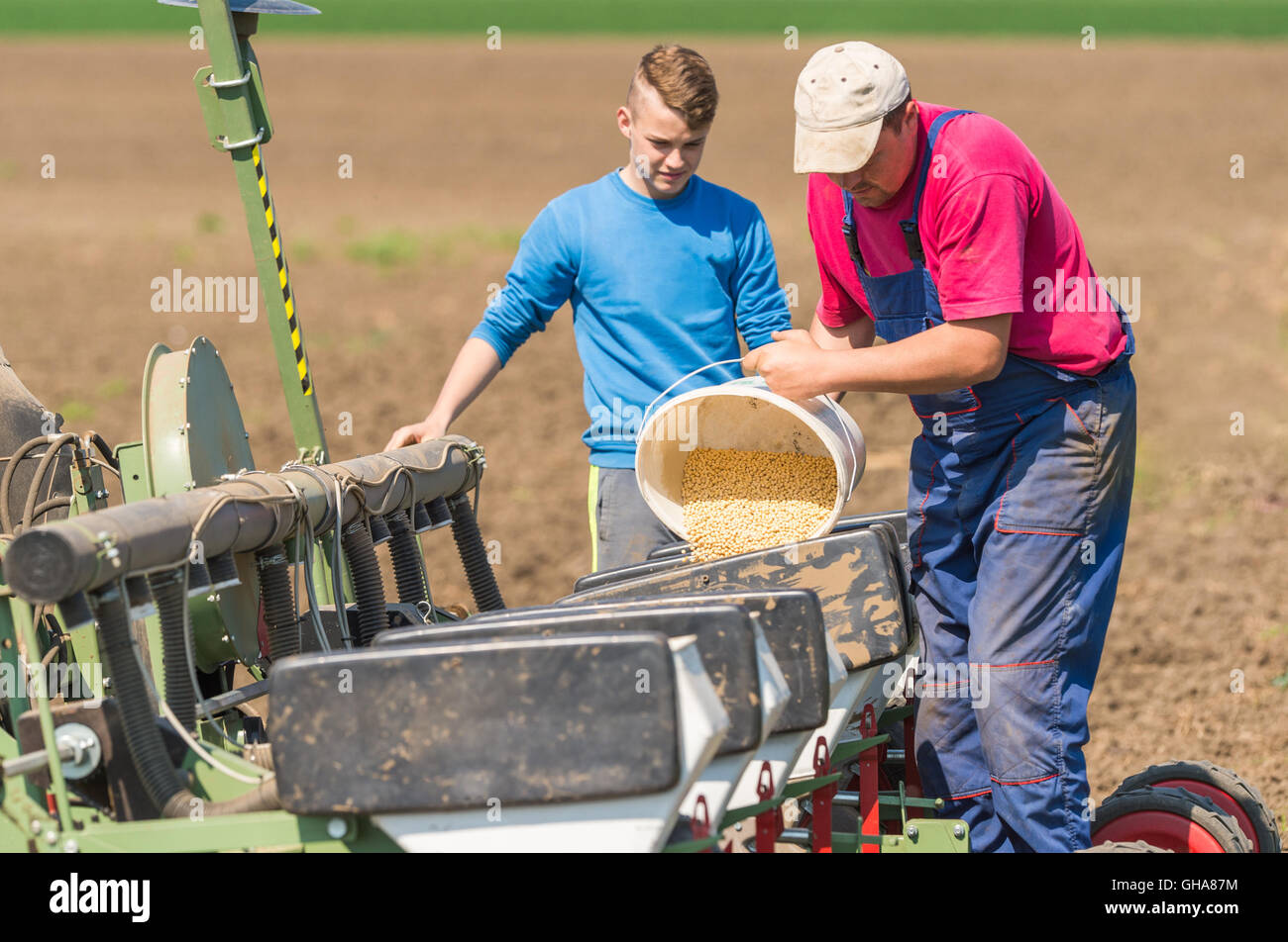 father and son working in agriculture Stock Photo - Alamy