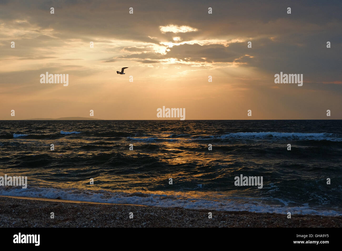 Stormy sea weather and lonely seagull hover in front sunset sky full of ...