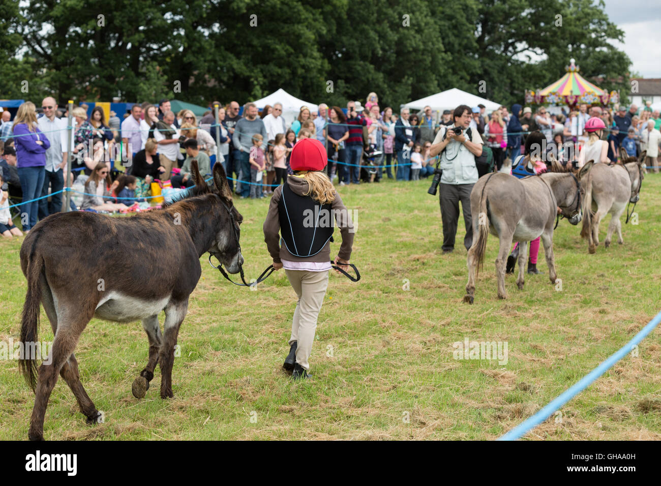 Uk donkey child hi-res stock photography and images - Alamy