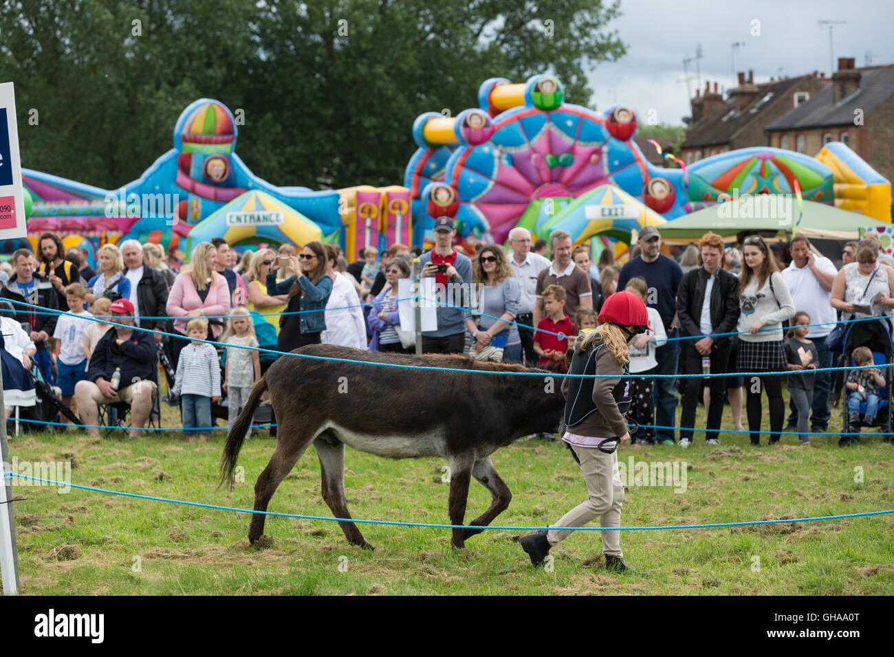 Theydon Bois Donkey Derby 2016 Stock Photo - Alamy