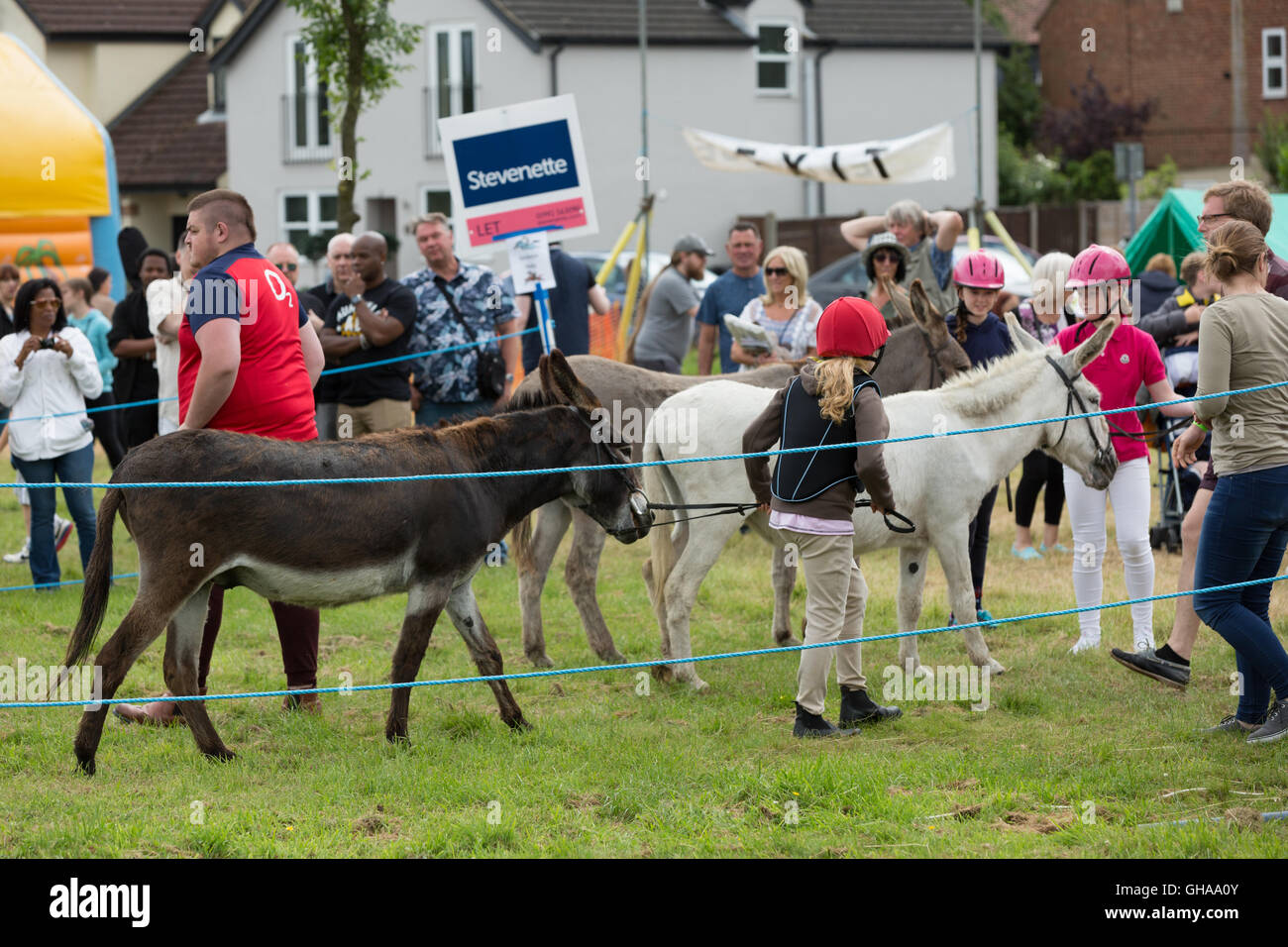 Theydon Bois Donkey Derby 2016 Stock Photo - Alamy