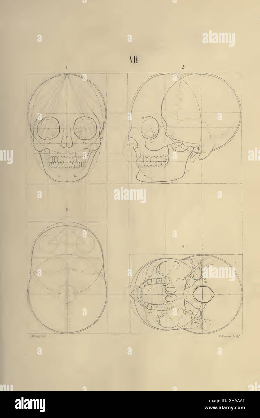 Ancient Greek Art High Resolution Stock Photography and Images - Alamy