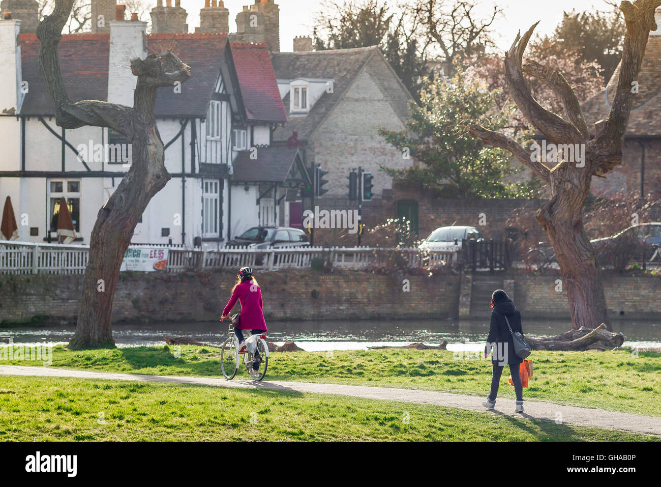 Cambridge cyclist, on a spring morning a woman rides her bike on a path ...