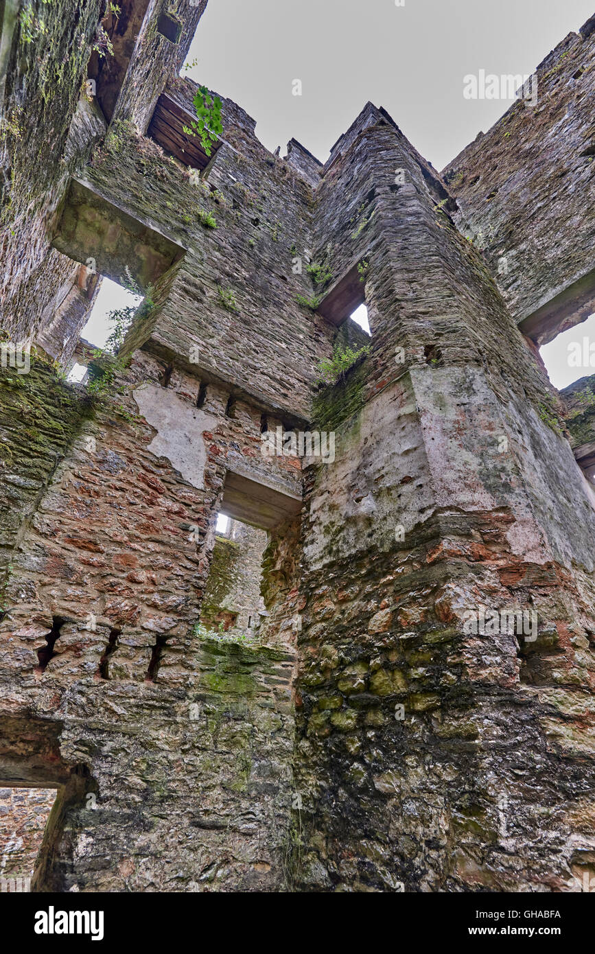 Berry Pomeroy Castle, a Tudor mansion within the walls of an earlier ...