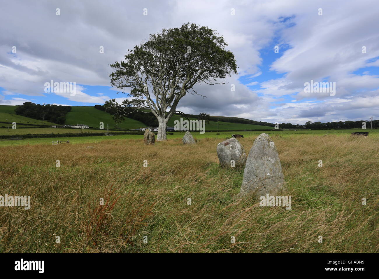 St colmacs standing stones hi-res stock photography and images - Alamy