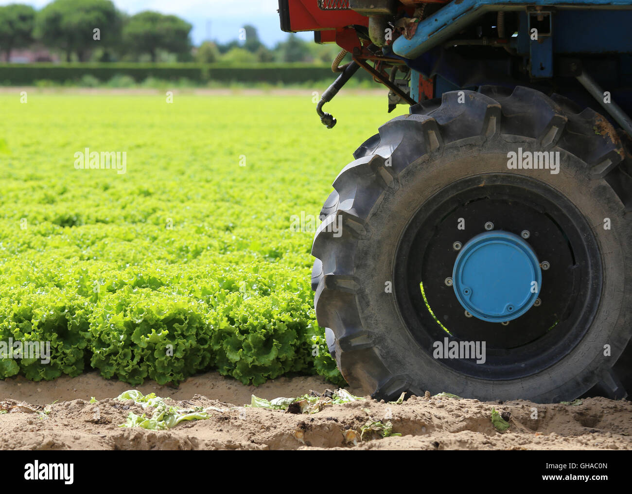 Details big wheel tractor in hi-res stock photography and images - Alamy