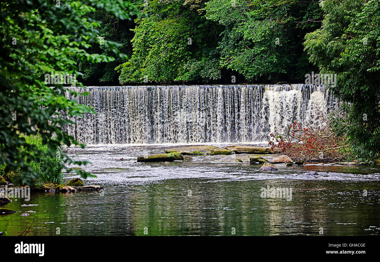 River almond hi-res stock photography and images - Alamy