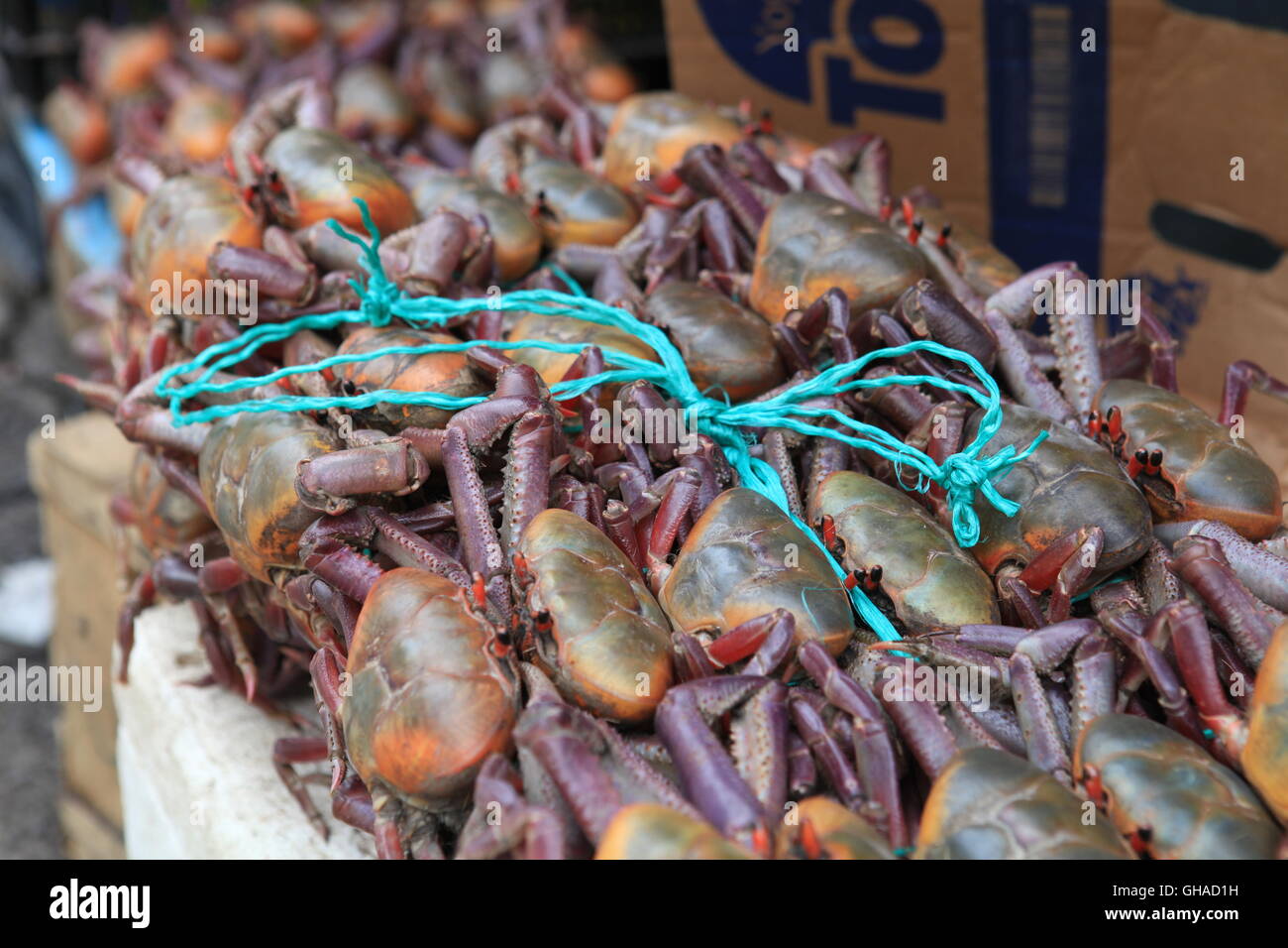 Rows of fresh crab tied together with string, ready to buy in Otavalo ...