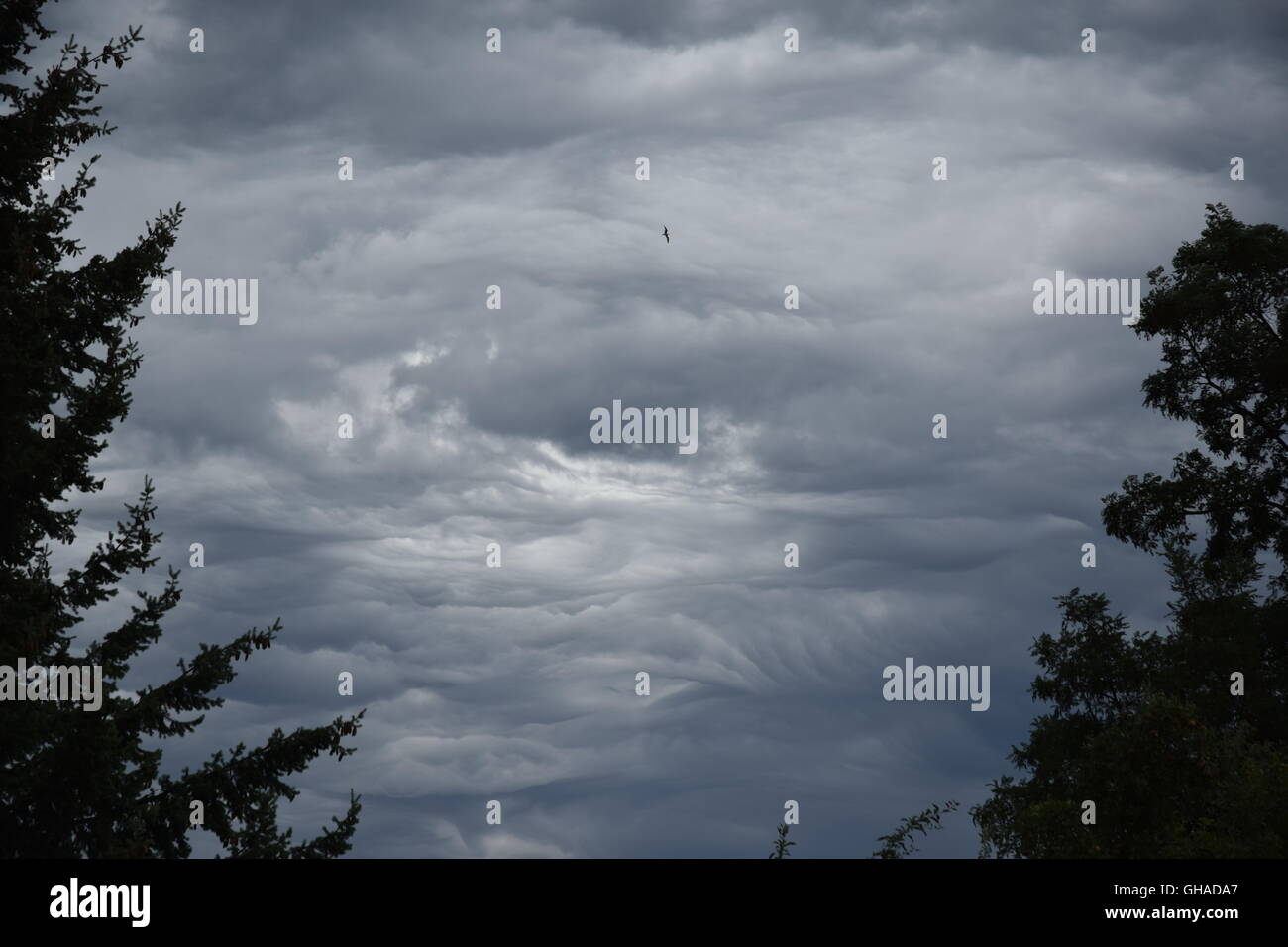 Undulatus asperatus clouds Stock Photo - Alamy