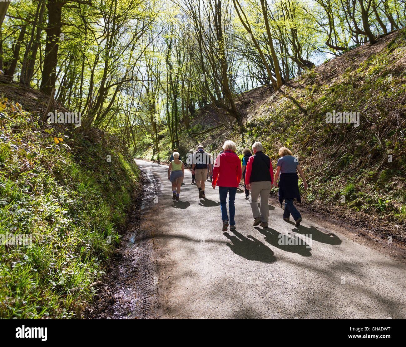 Country lane walk Stock Photo - Alamy