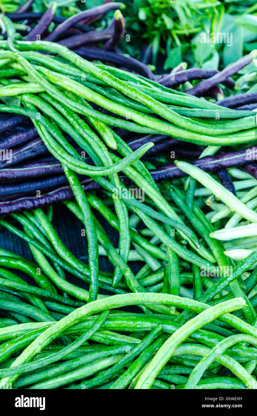 Colorful Chinese Long Beans and other exotic ethnic produce for sale at ...