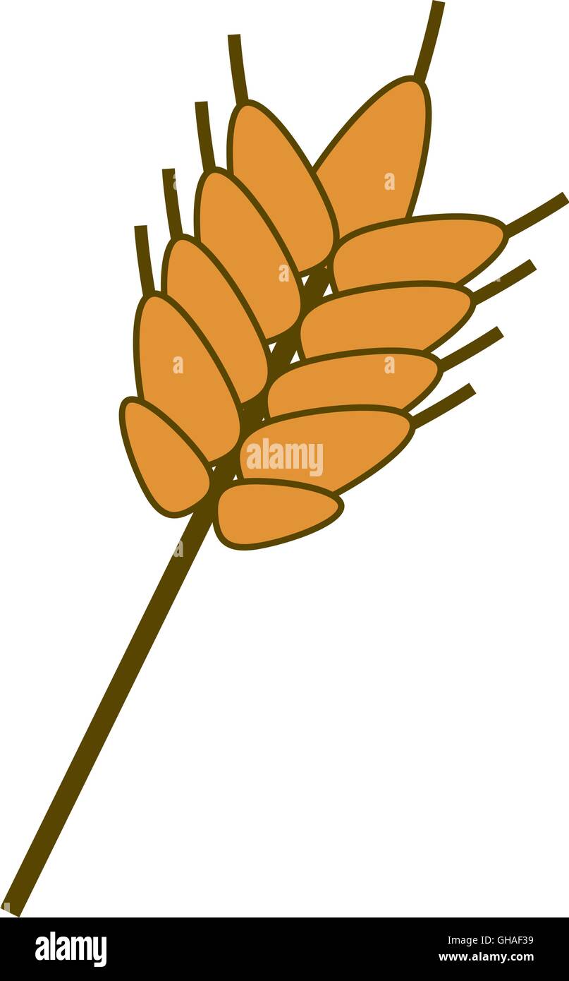 single wheat icon Stock Vector Image & Art - Alamy