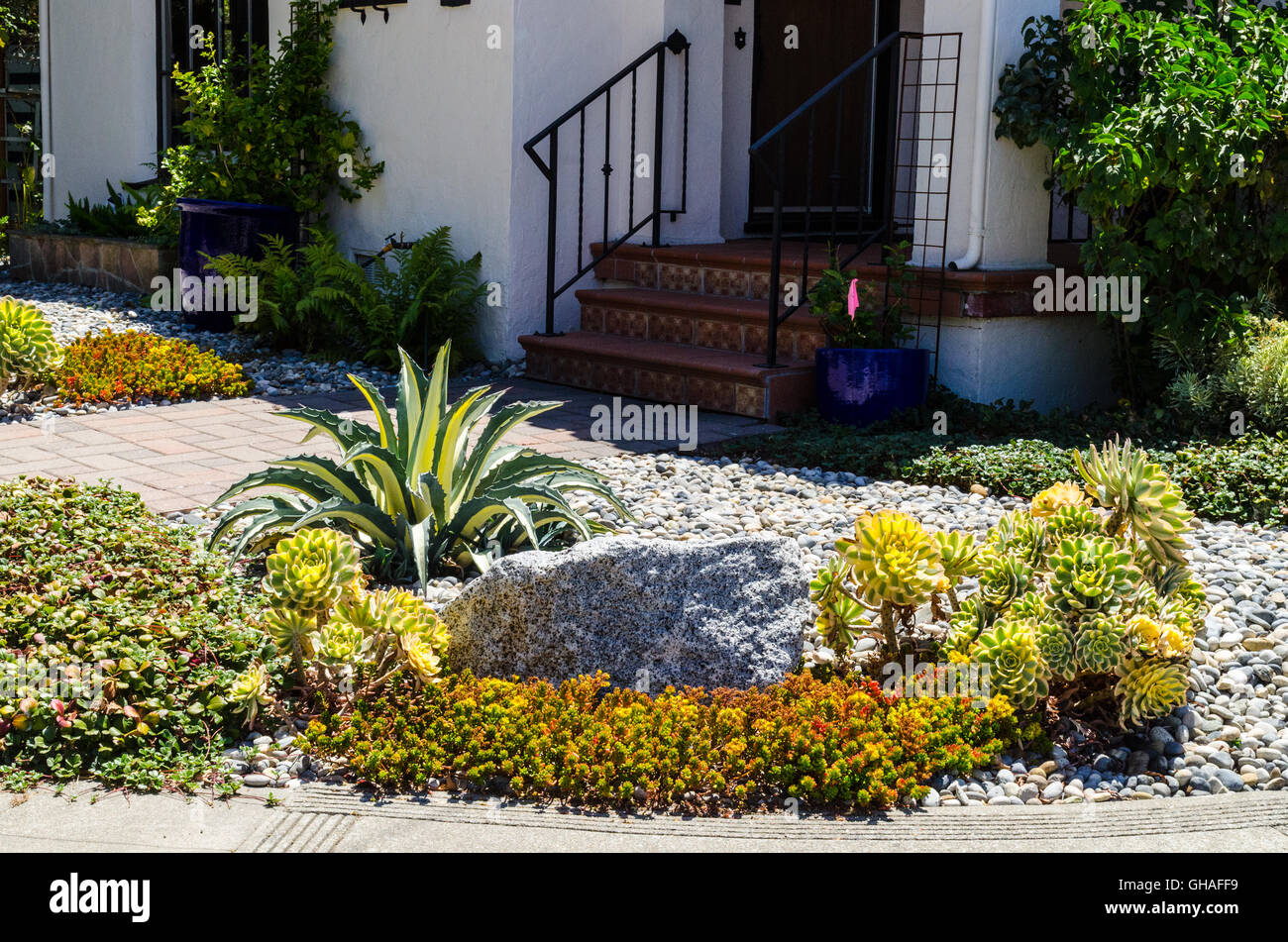 Colorful water friendly drought tolerant plants in California Stock ...