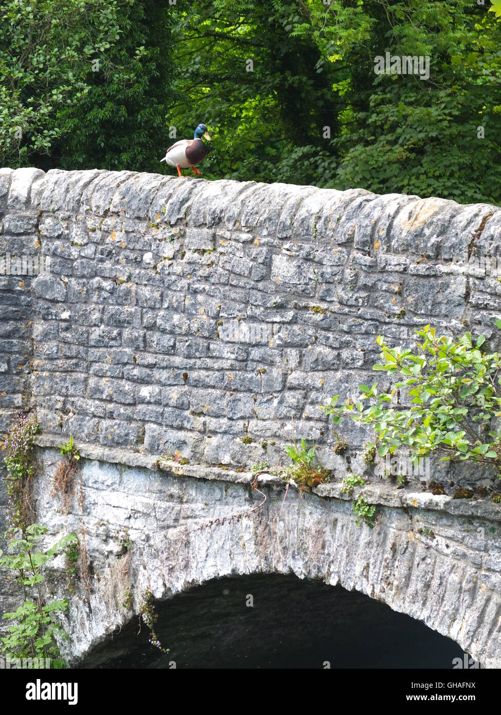 Sheepwash Bridge Peak District Village Uk High Resolution Stock ...