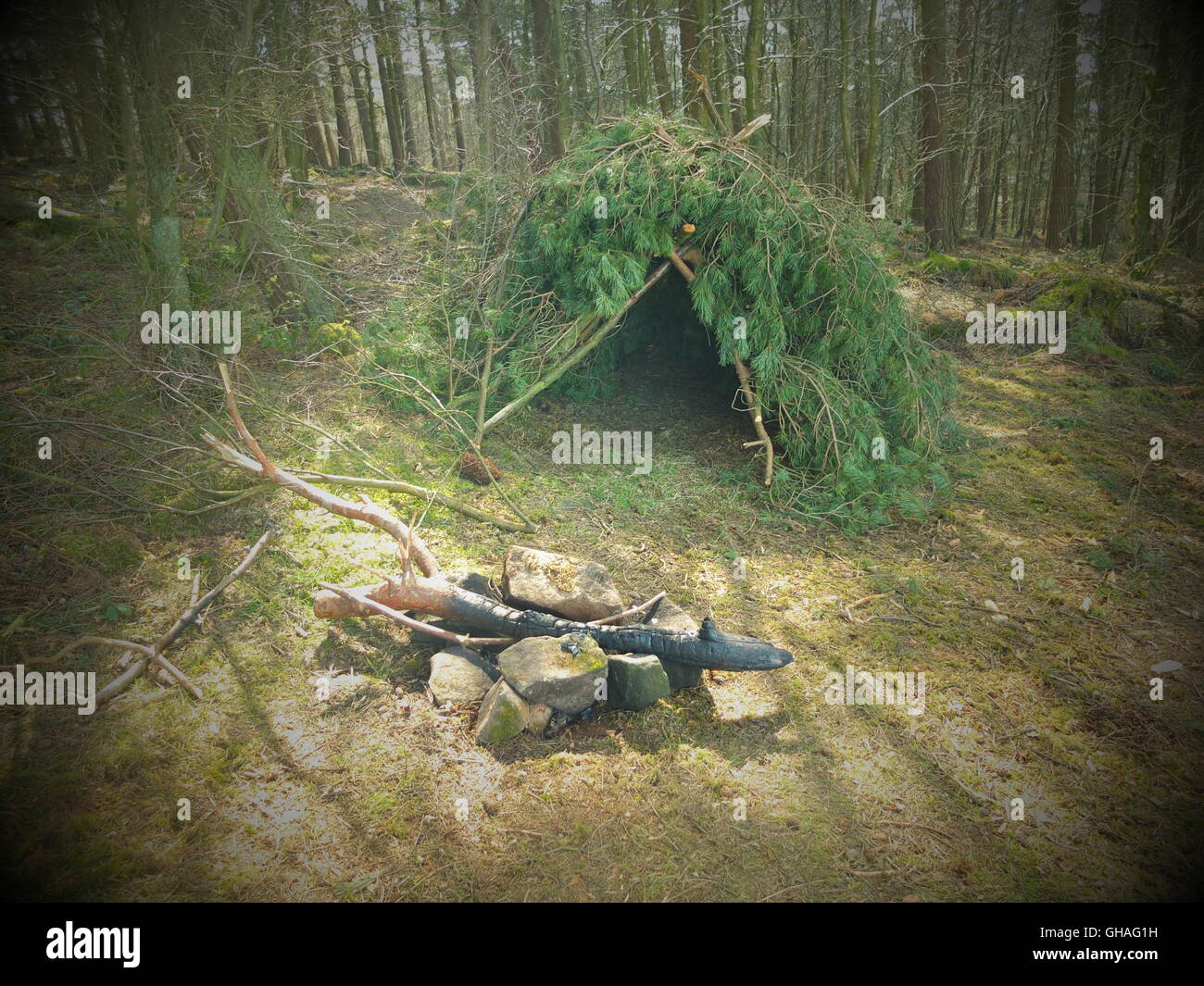 A naturally-built druid shelter in the woods by Doll Tor stone circle ...