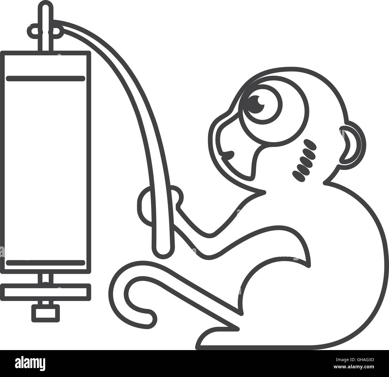 Monkey holding sign hi-res stock photography and images - Alamy