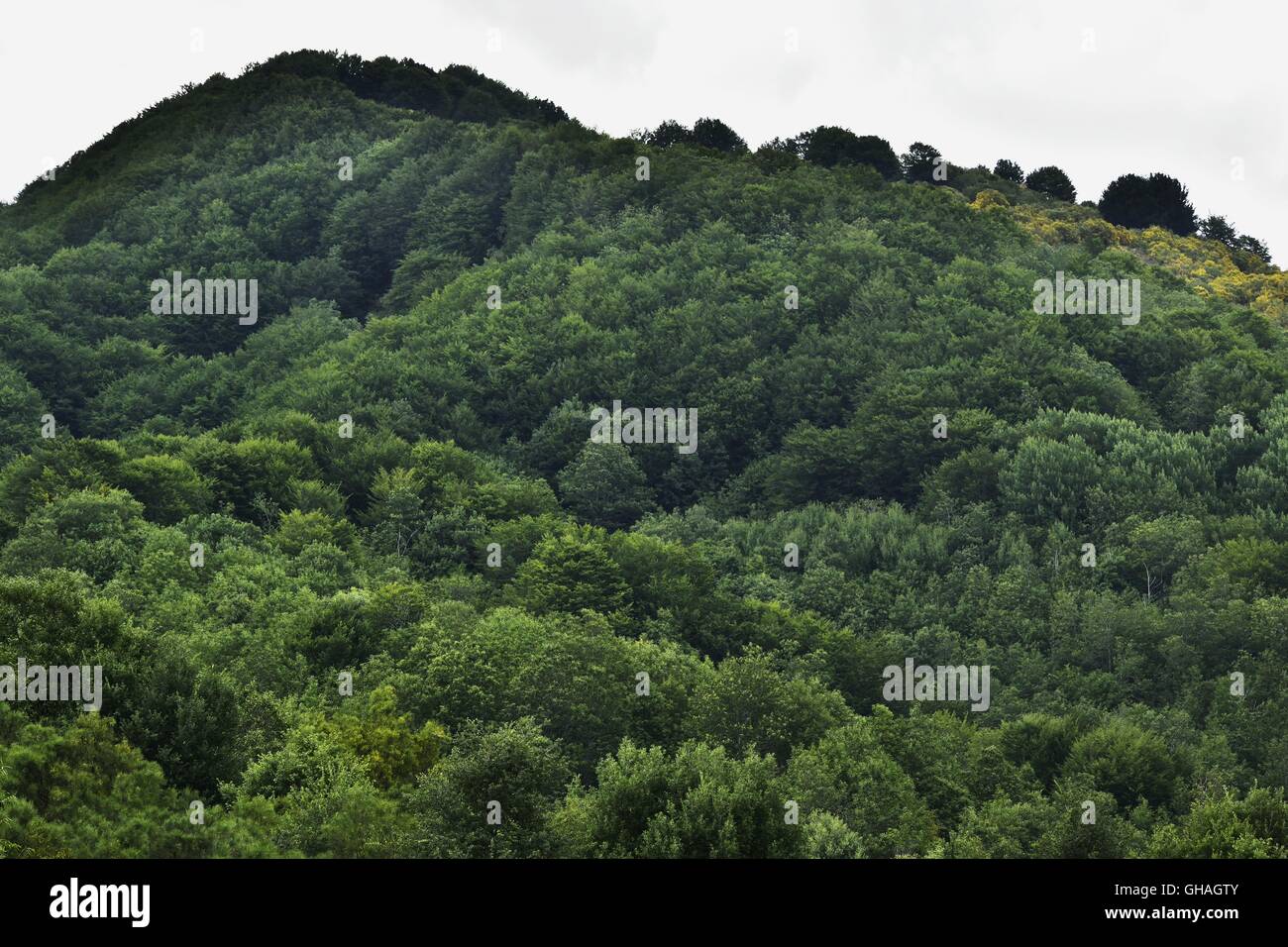 Thik hi-res stock photography and images - Alamy